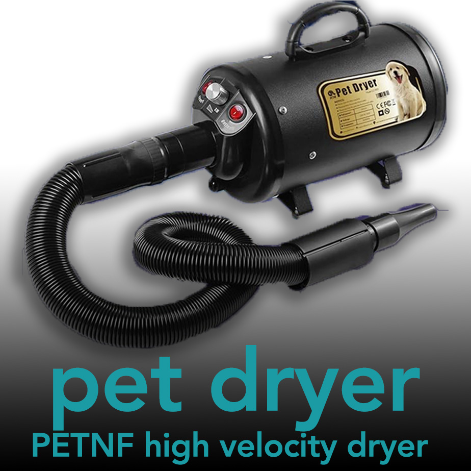 Dryer – adria & oatmeal | UGC content creator